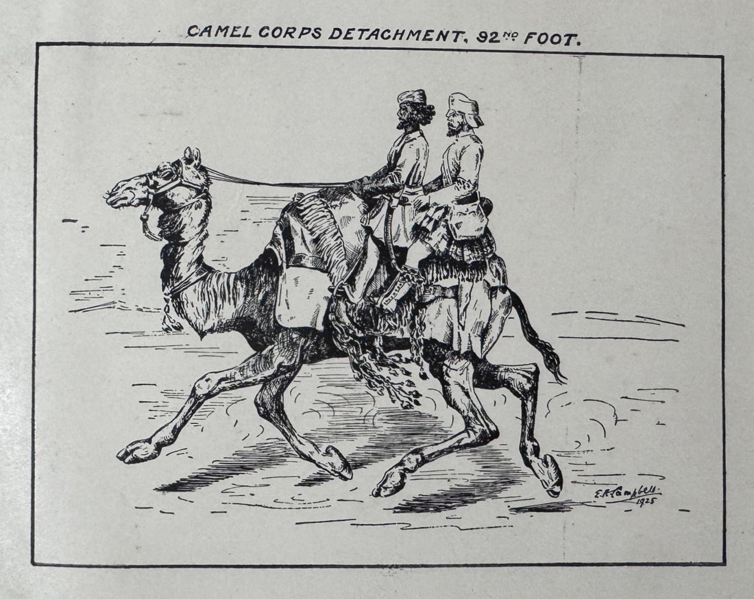 Camel Corps Detachment, 92nd Foot Regiment (Gordon Highlanders ...